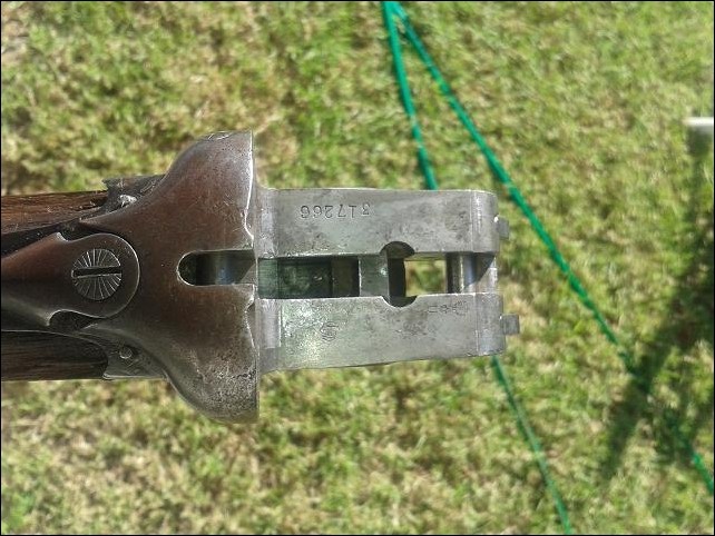 ΕΡΩΤΗΣΕΙΣ - ΑΠΑΝΤΗΣΕΙΣ 230