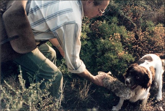 ΓΙΑΤΙ ΚΥΝΗΓΩ ΧΩΡΙΣ ΣΚΥΛΟ